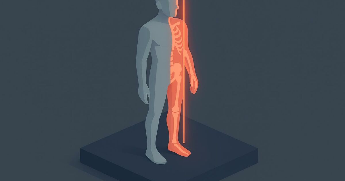 Sagittalebene - Anatomische Grundbegriffe