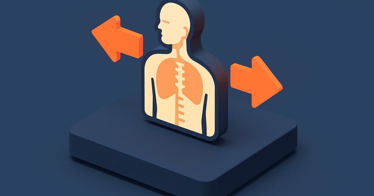 Transversalebene - Anatomische Grundbegriffe